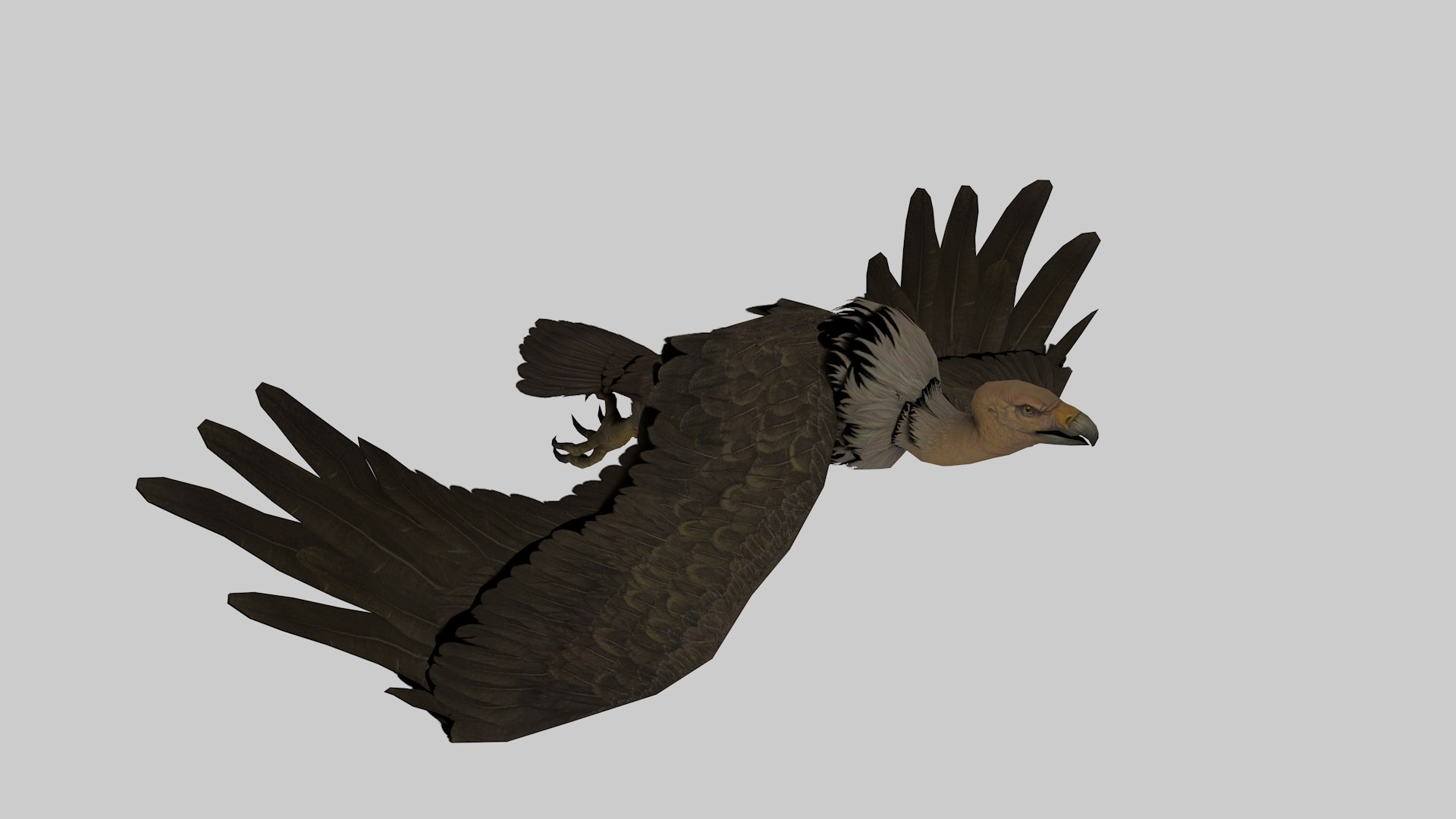Flying Bird 3D Model - TurboSquid 2374065