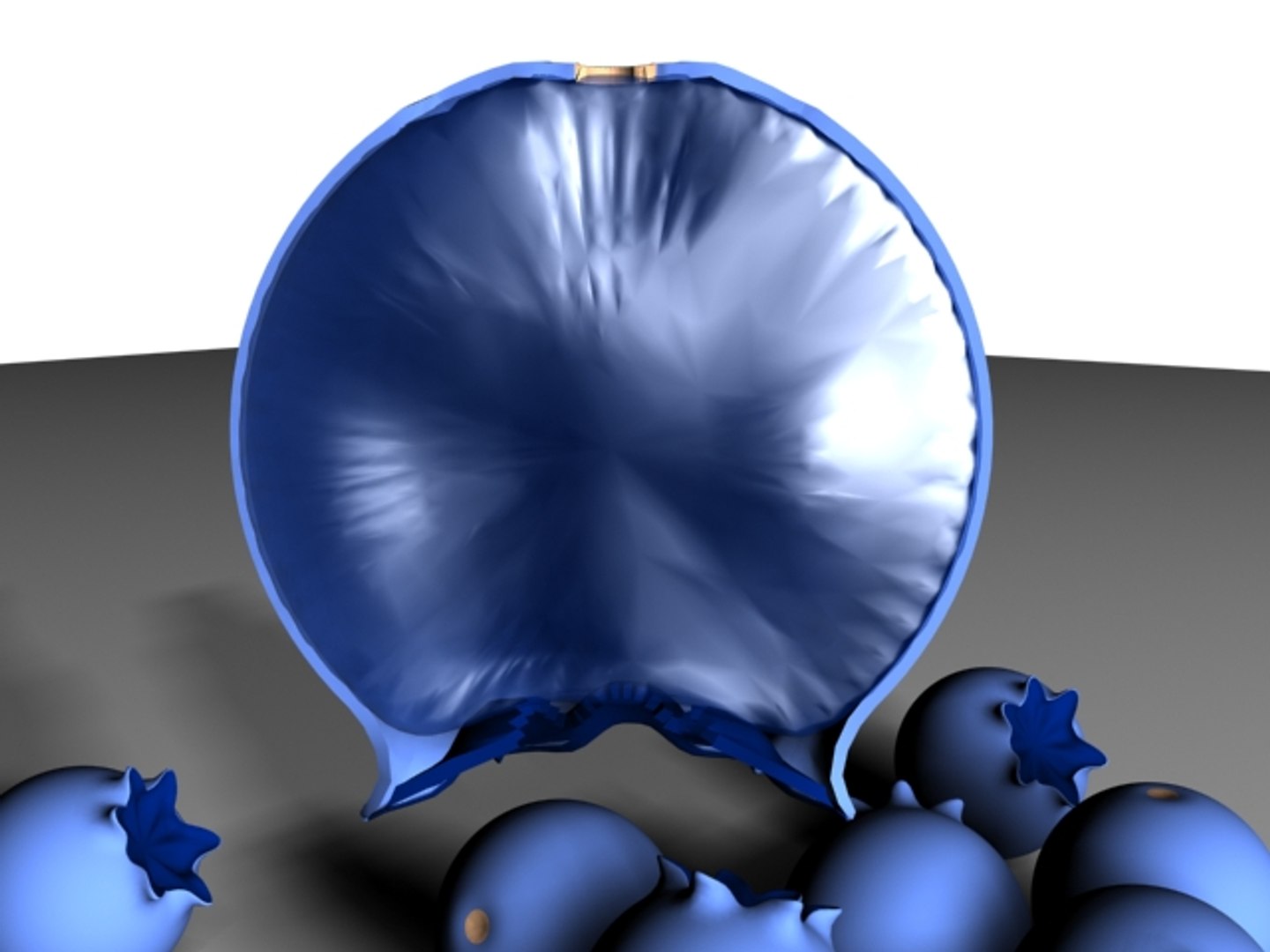 3d Blueberries Bilberries Model