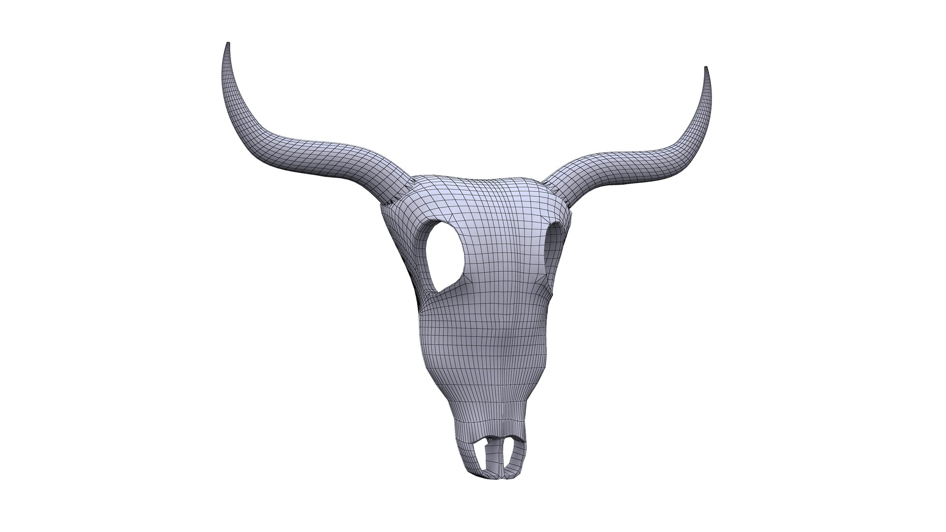 Cow Skull 3D Model - TurboSquid 1509368