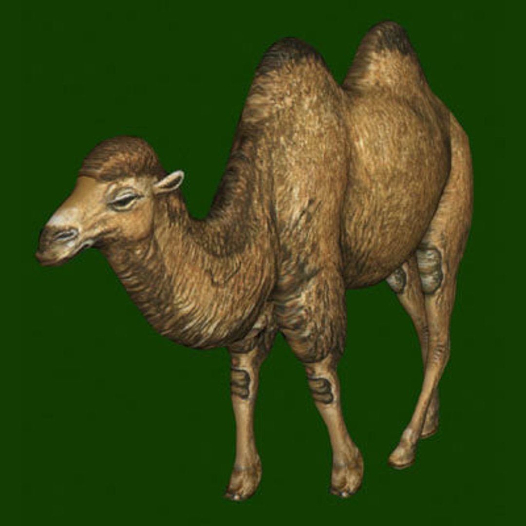 imagination works animal 3d model