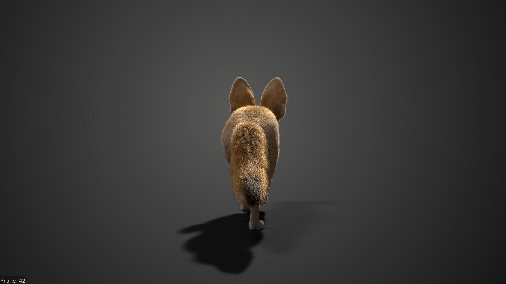 Fennec Fox Animated Model - TurboSquid 2056589