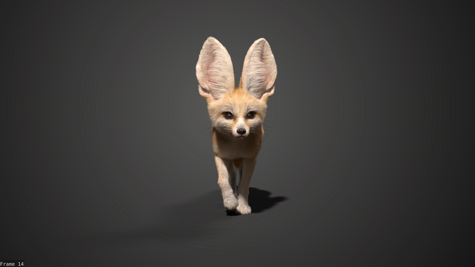 Fennec Fox Animated Model - TurboSquid 2056589
