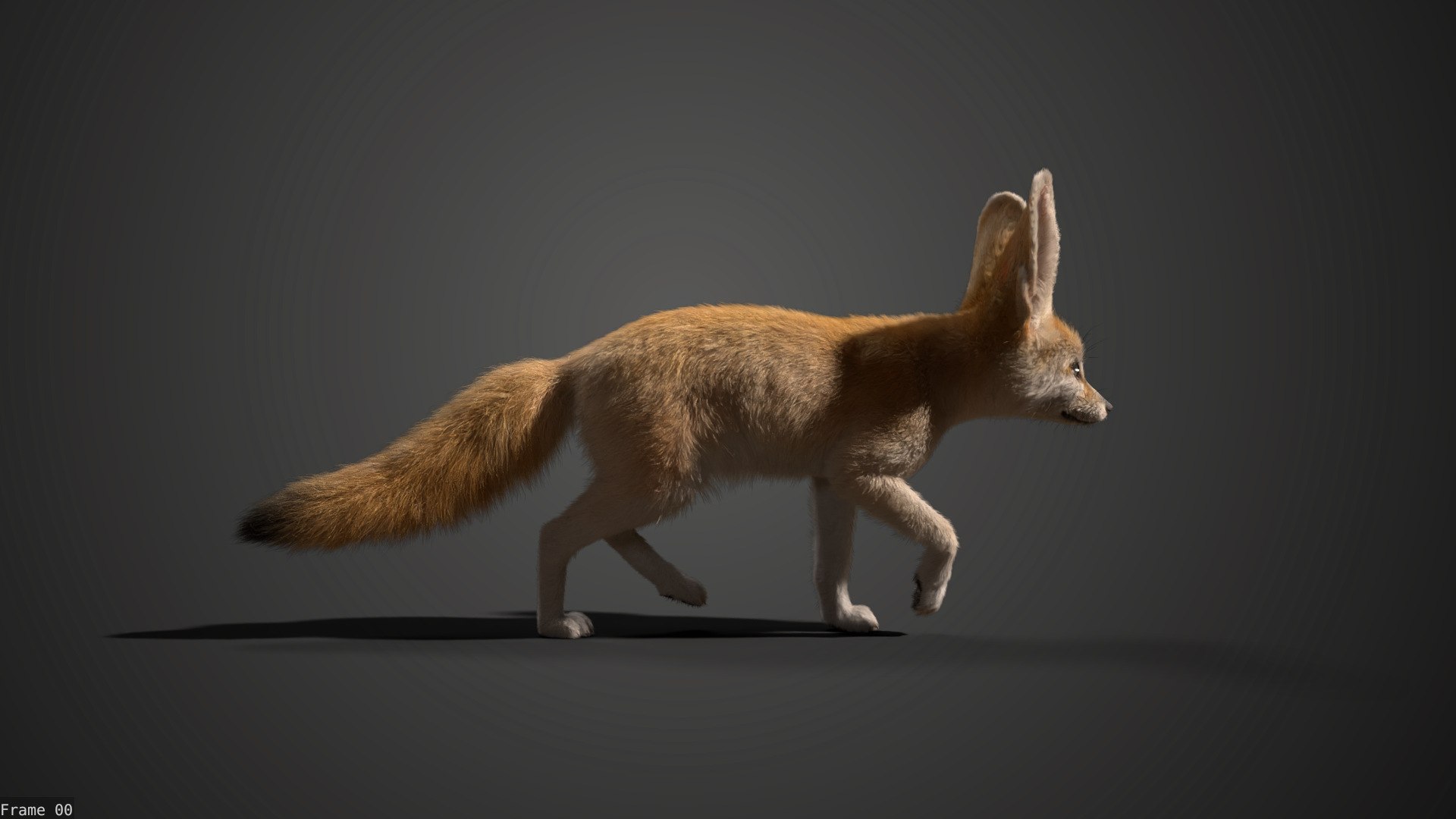 Fennec Fox Animated model - TurboSquid 2056589