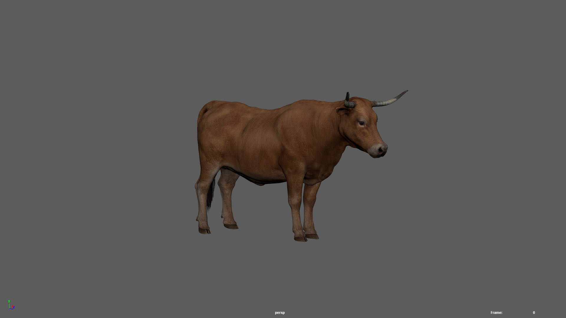 Realistic Cattle Cow 3D - TurboSquid 1985019
