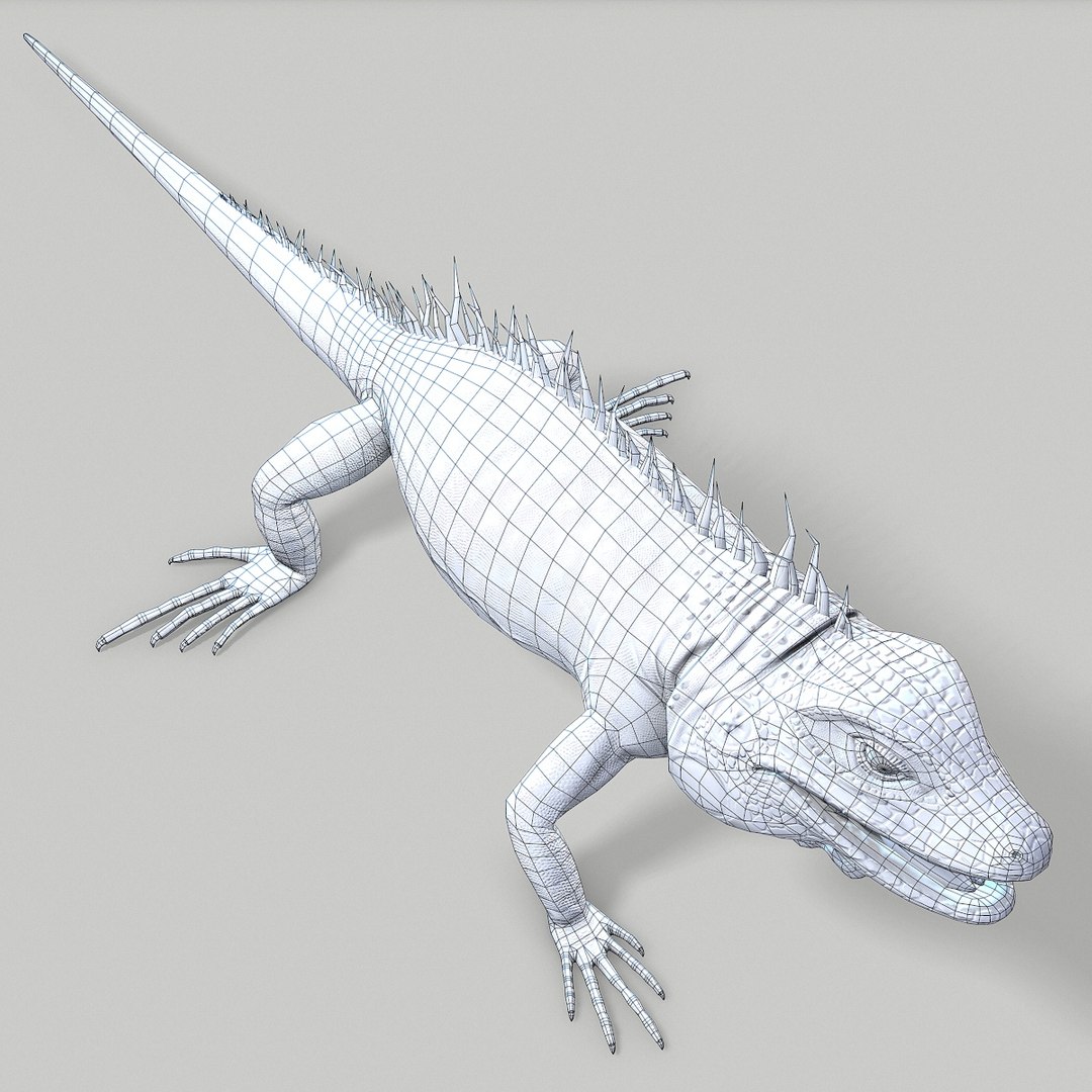 Iguana Blue 3D Model - TurboSquid 1452590