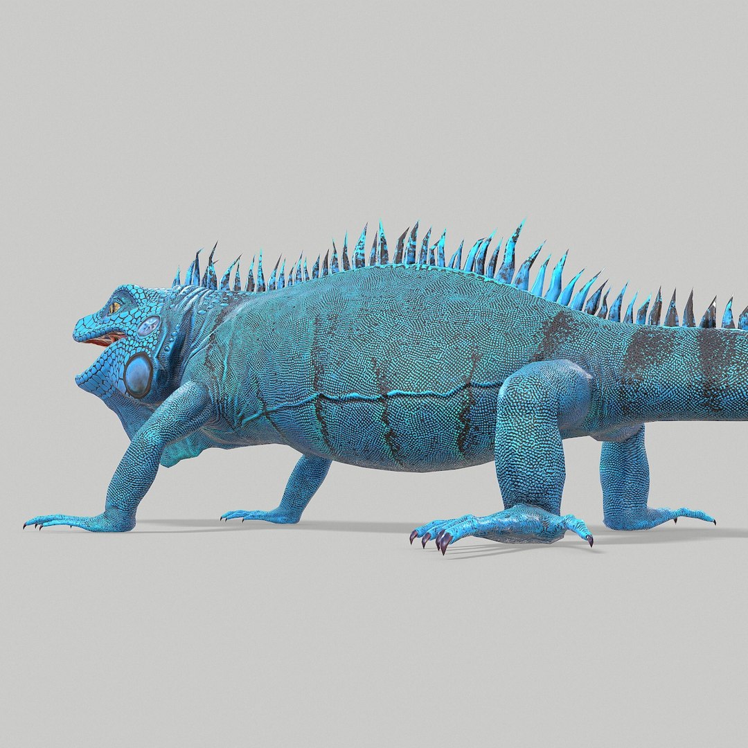Iguana Blue 3D Model - TurboSquid 1452590