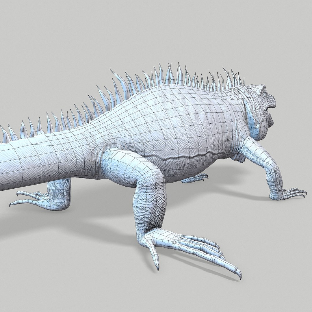 Iguana Blue 3D Model - TurboSquid 1452590