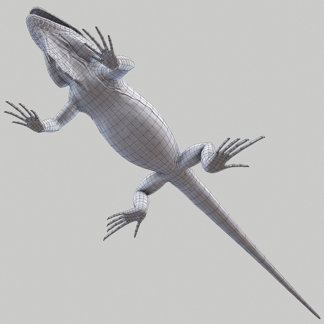 Iguana Blue 3D Model - TurboSquid 1452590