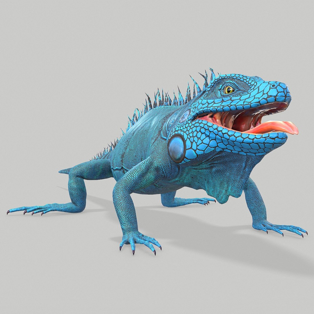Iguana Blue 3D Model - TurboSquid 1452590