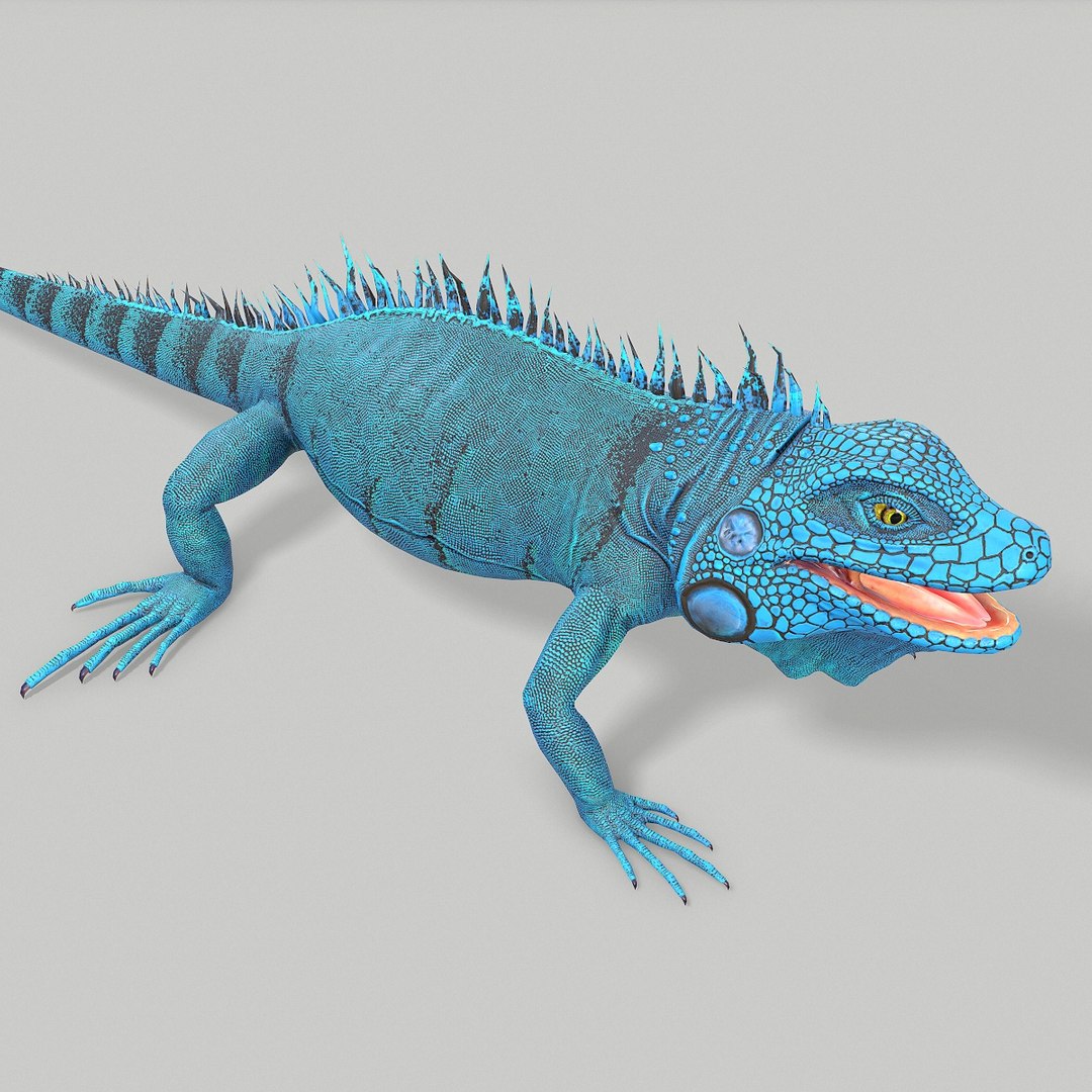 Iguana Blue 3D Model - TurboSquid 1452590
