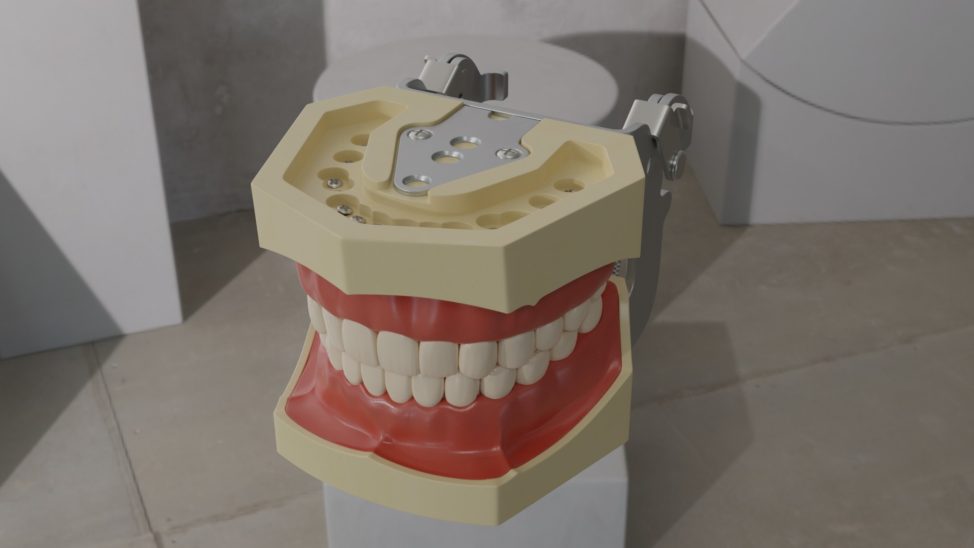 3D Typodont Dental Model With Removable Teeth - TurboSquid 2180933