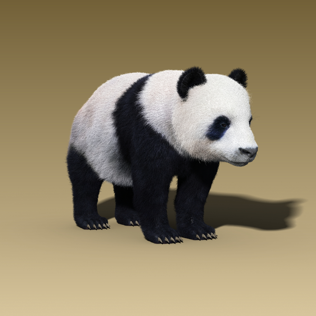 3ds Max Panda Bear Fur Rigged