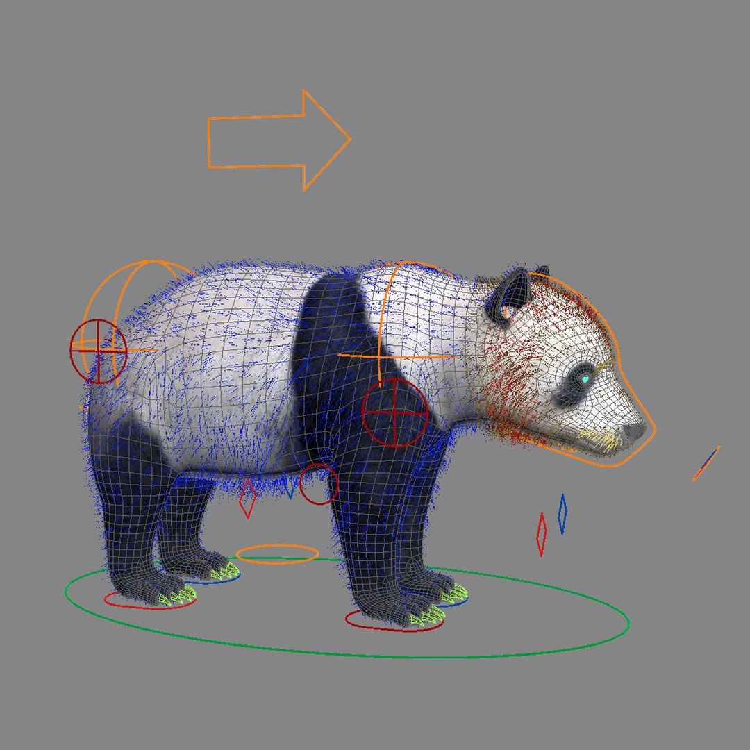 3ds Max Panda Bear Fur Rigged