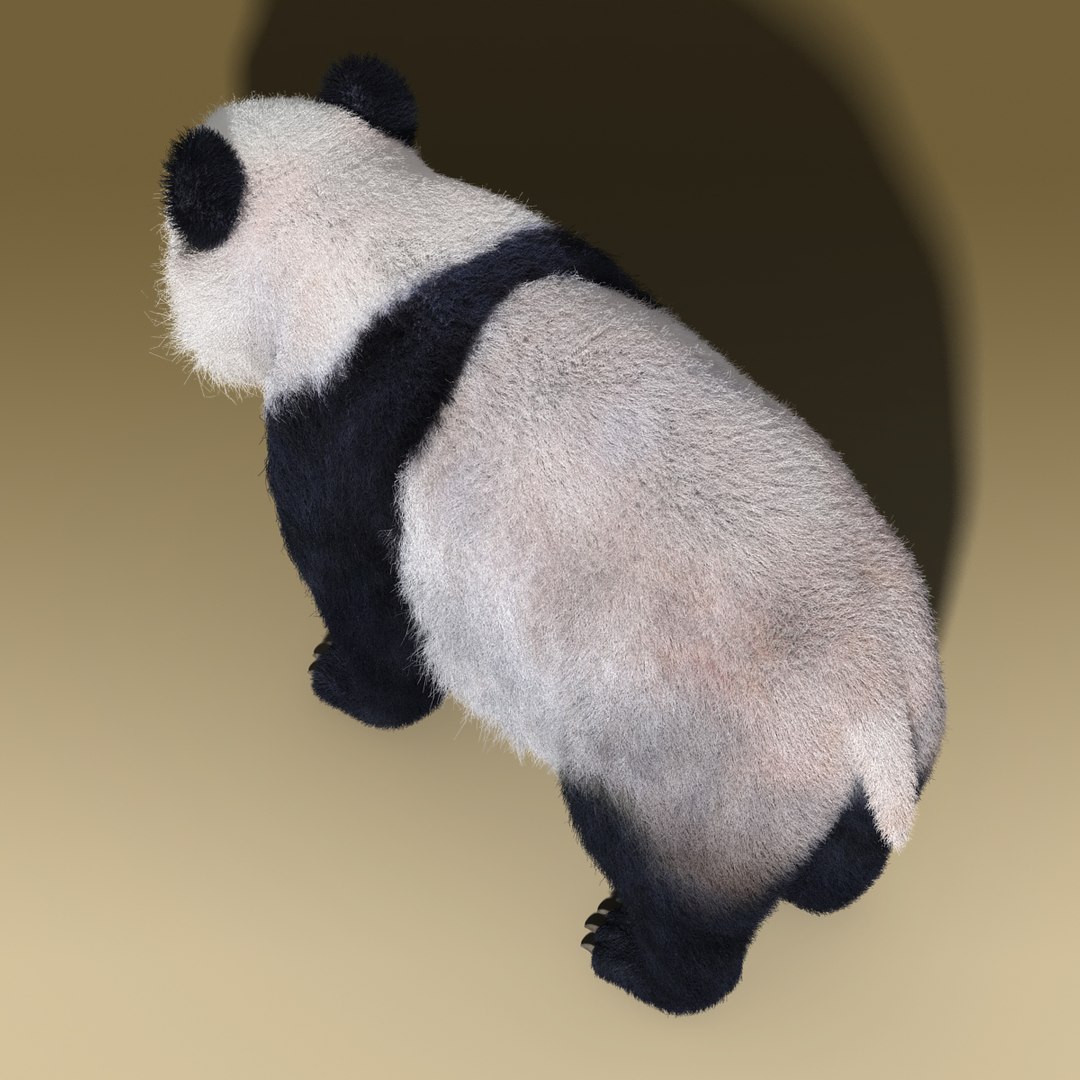 3ds Max Panda Bear Fur Rigged