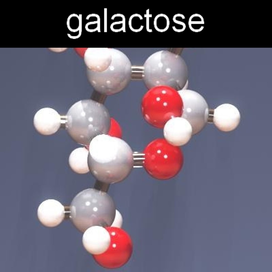 3d Model Molecule Galactose