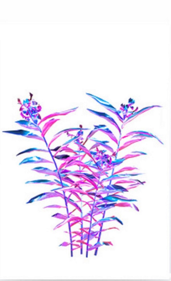 modelo 3d Acid - TurboSquid 2099876