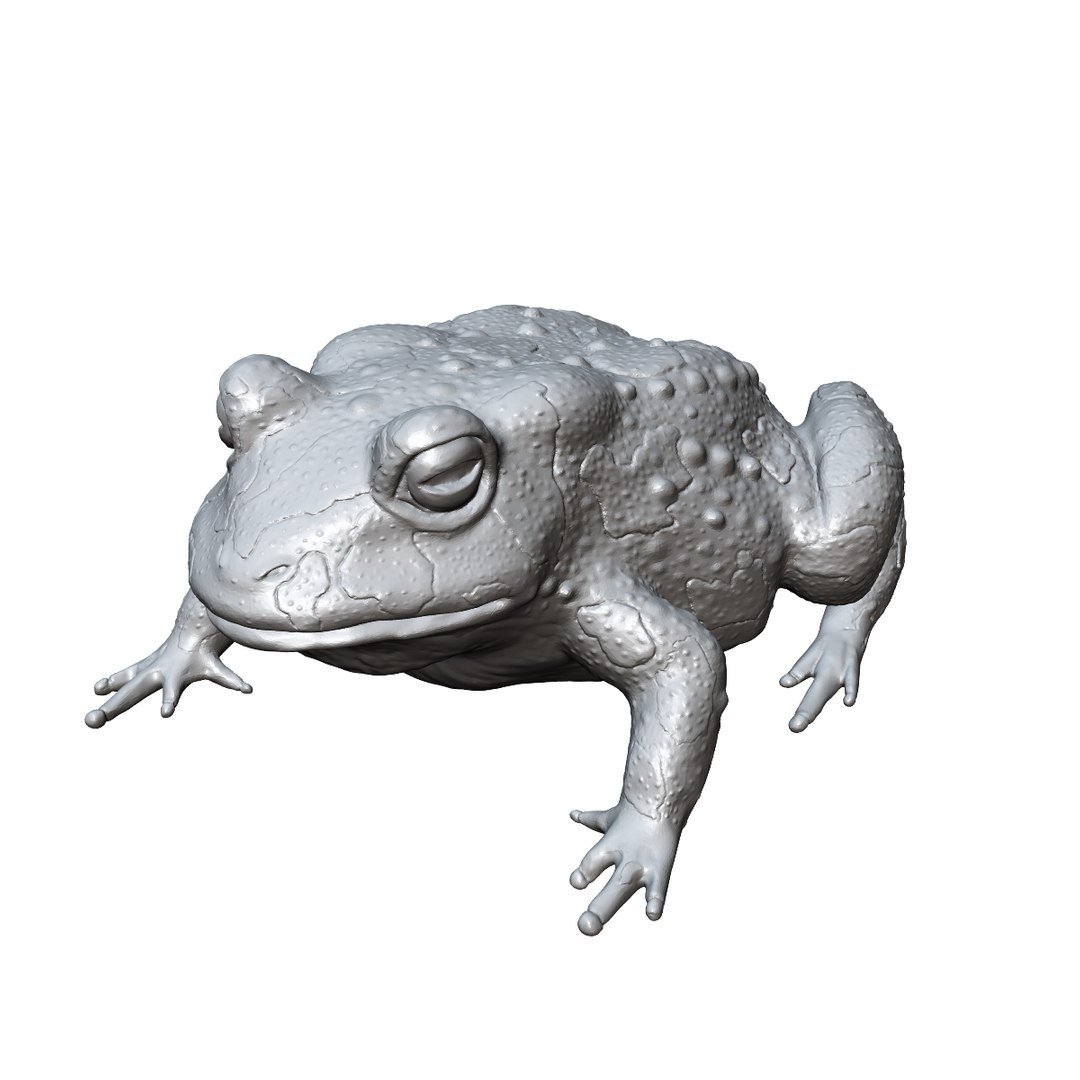 toad sculpture 3d model