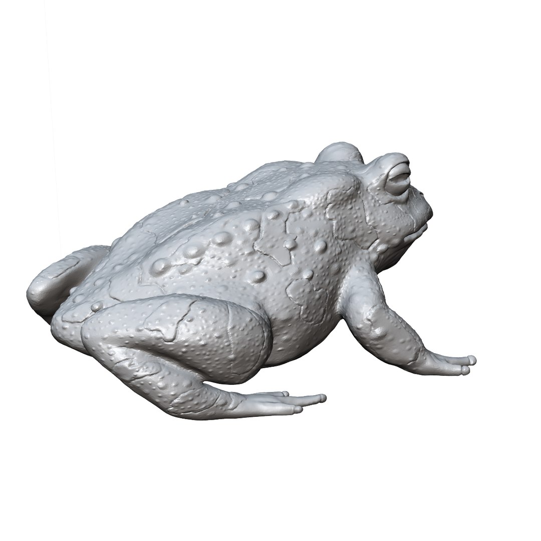 toad sculpture 3d model