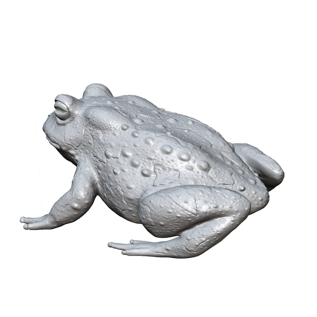 toad sculpture 3d model