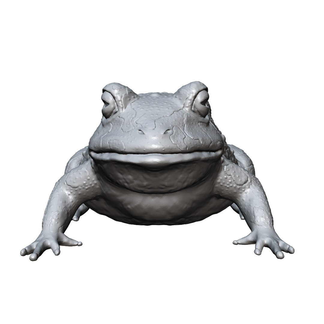 toad sculpture 3d model