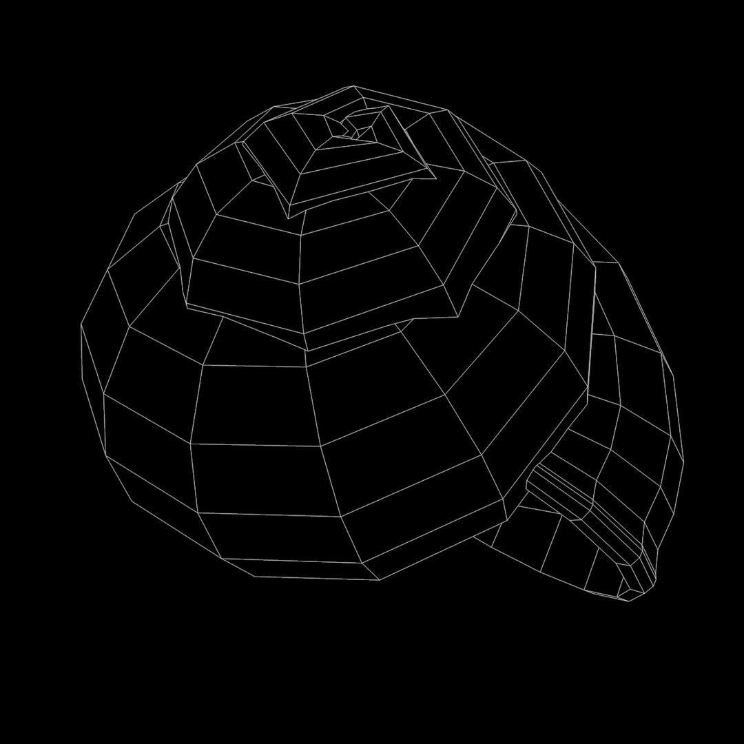 Snail Shell 3d Model