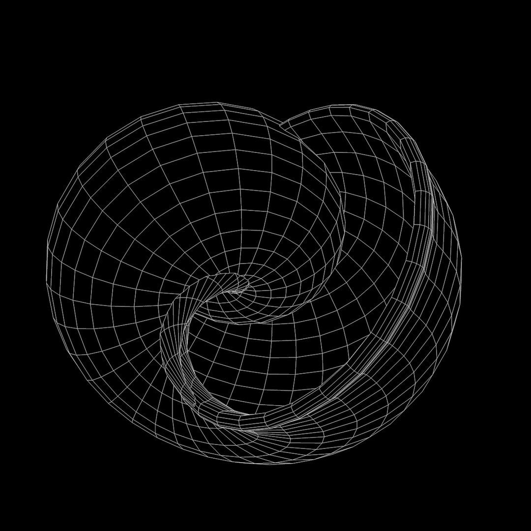 Snail Shell 3d Model