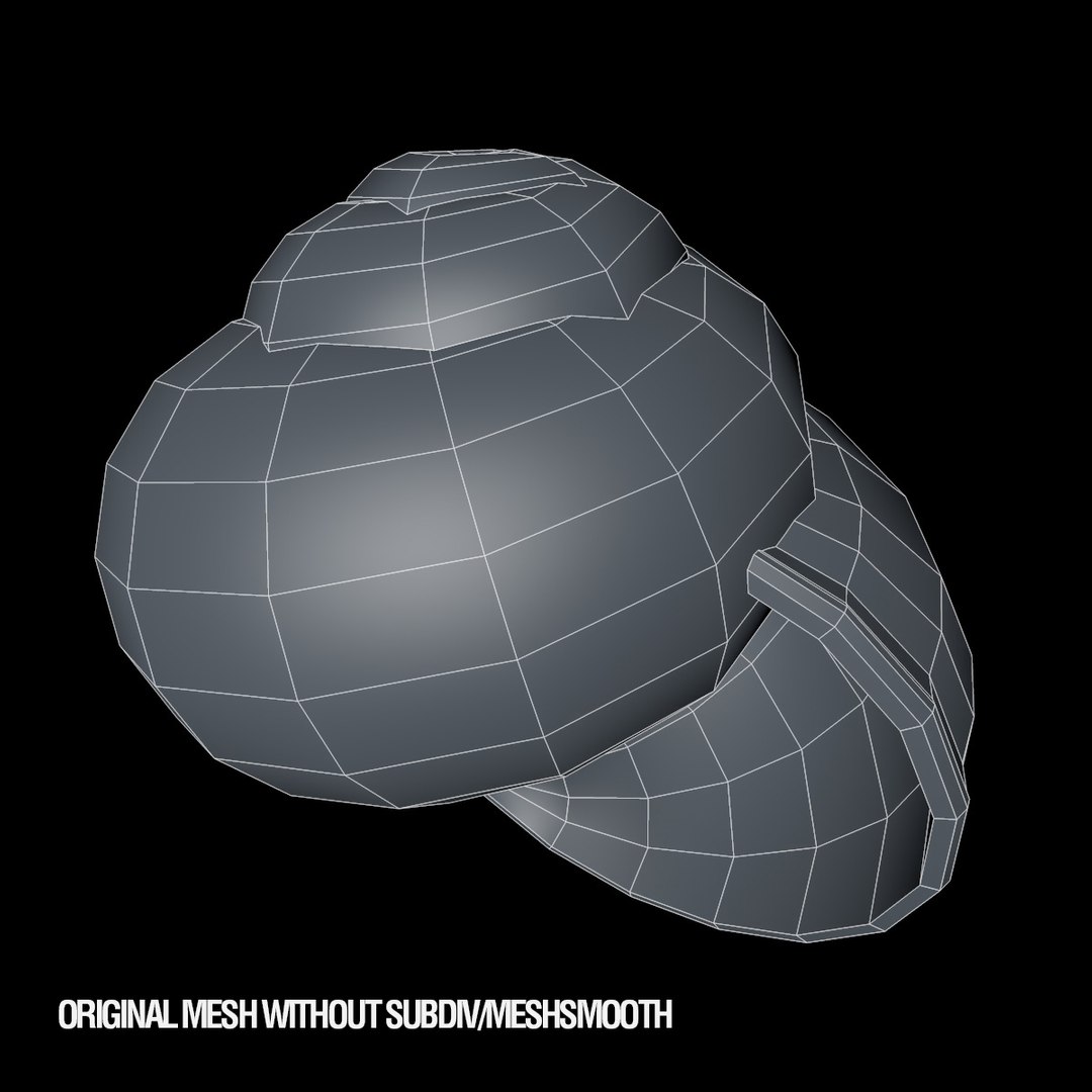 Snail Shell 3d Model