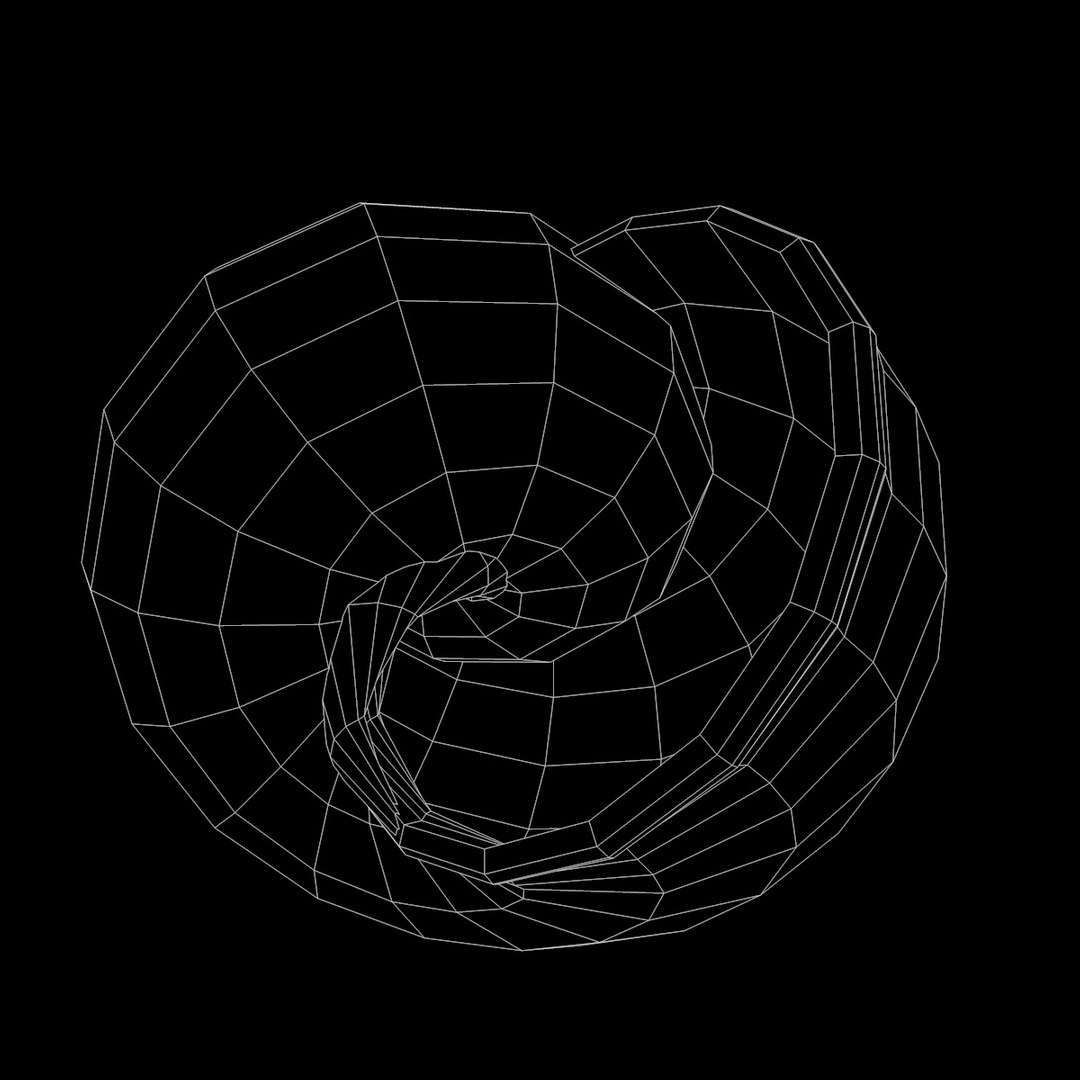 Snail Shell 3d Model