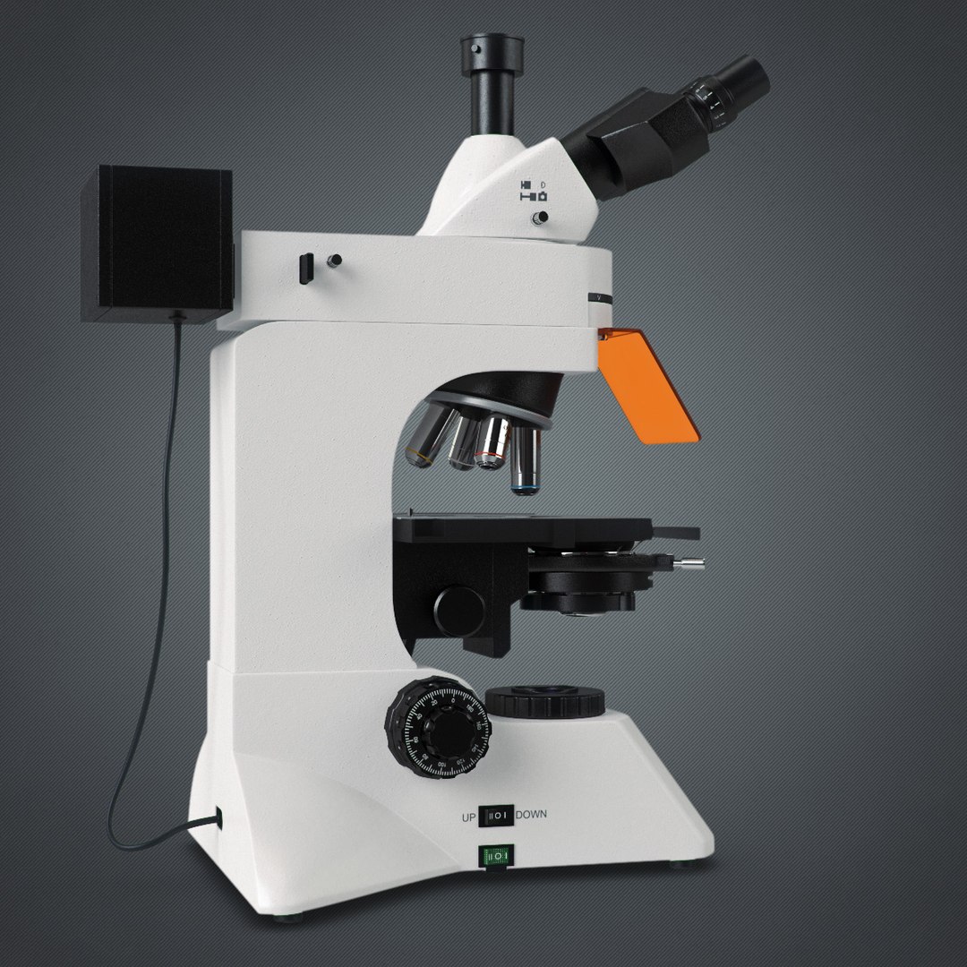 microscope binocular fluorescent max