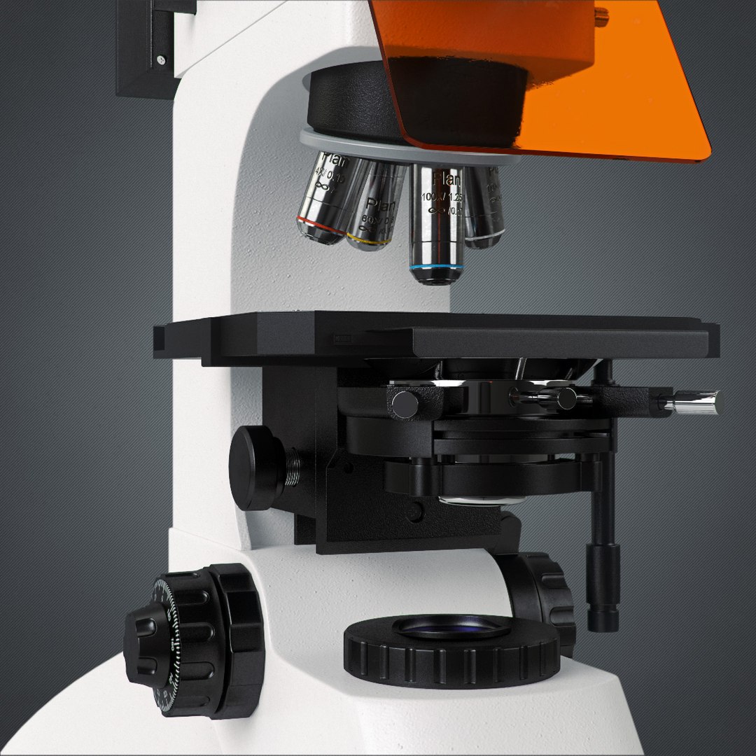 microscope binocular fluorescent max