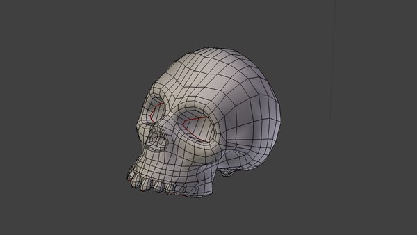 3D simple skull model - TurboSquid 1362929
