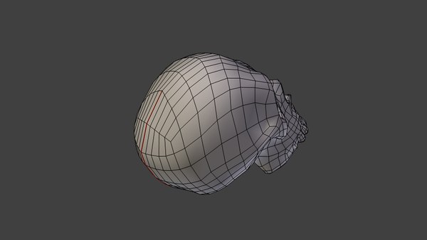 3D simple skull model - TurboSquid 1362929