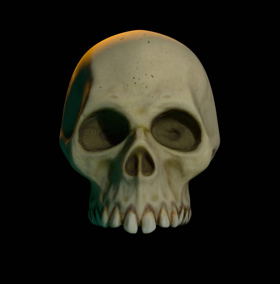 3D simple skull model - TurboSquid 1362929