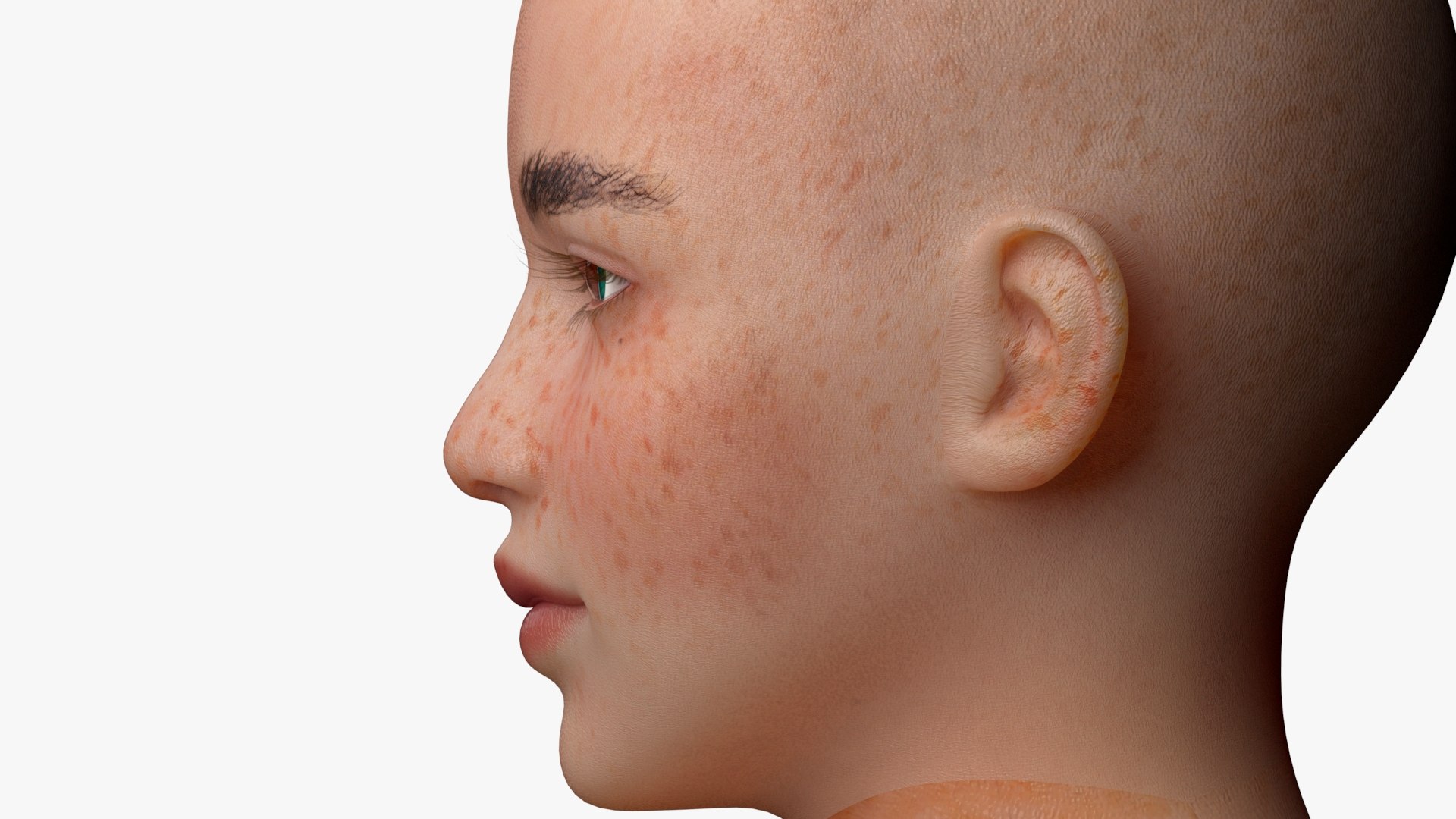 Realistic Freckle Woman 3D Model - TurboSquid 1862312