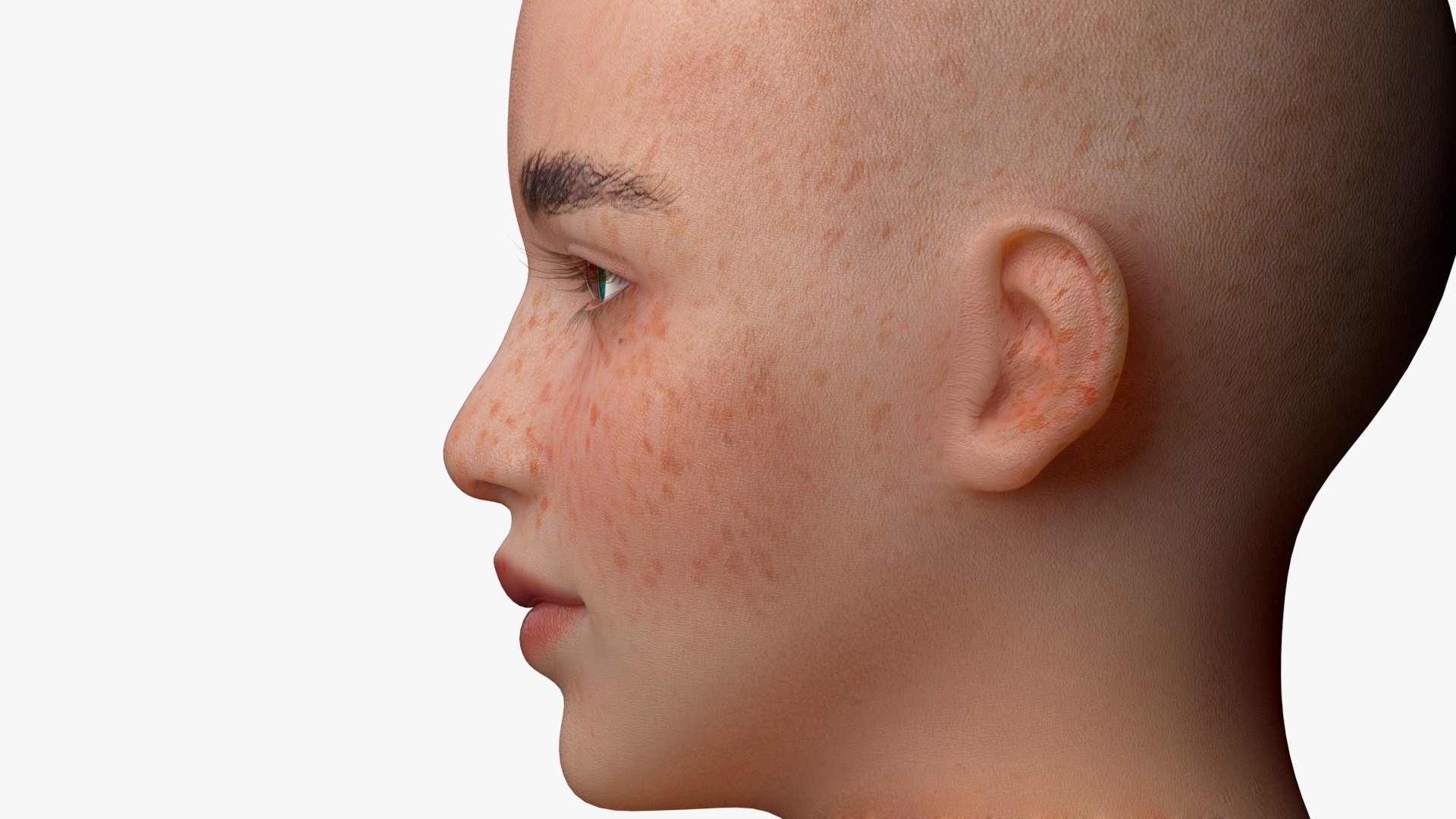 Realistic Freckle Woman 3D Model - TurboSquid 1862312
