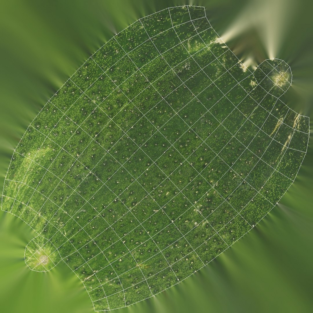 3D cucumber 3 - TurboSquid 1297919