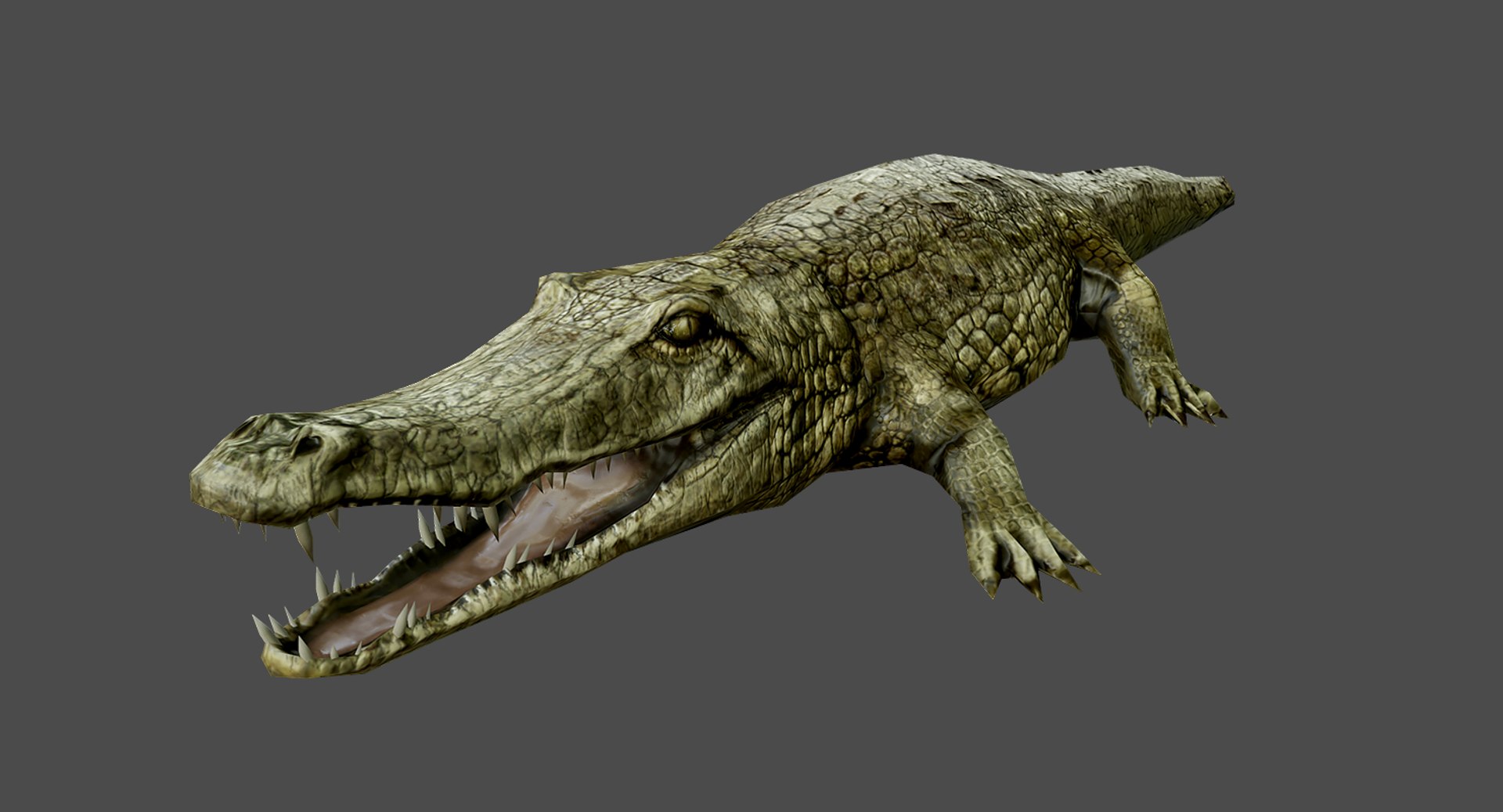 Realistic Alligator 3d Max