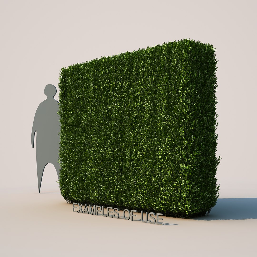 3D Tree Scatter Model - TurboSquid 1188338