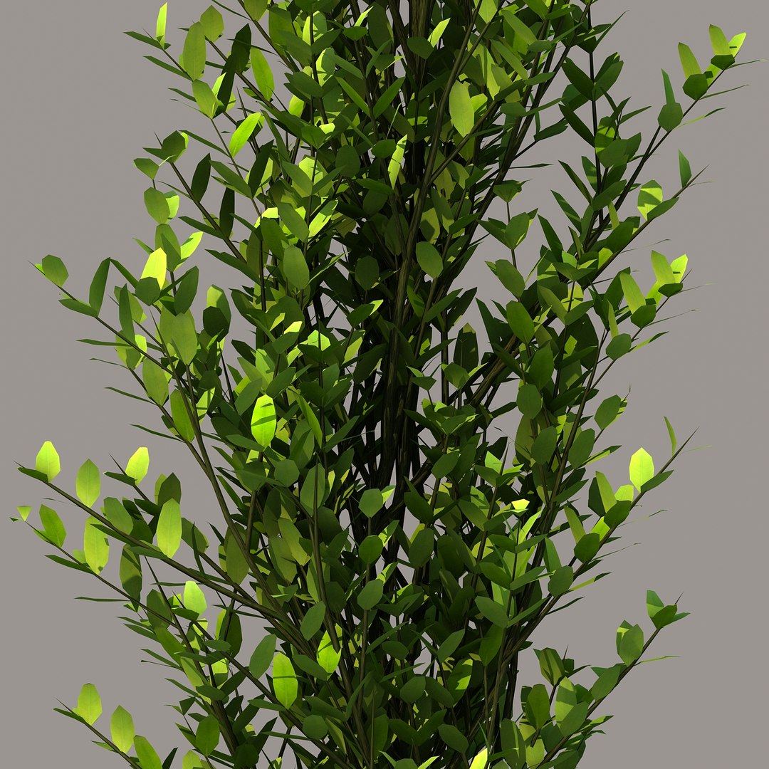 3D Tree Scatter Model - TurboSquid 1188338
