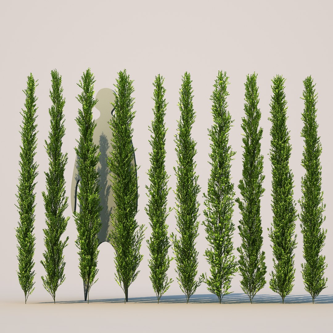 3D Tree Scatter Model - TurboSquid 1188338