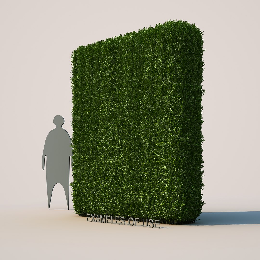 3D Tree Scatter Model - TurboSquid 1188338