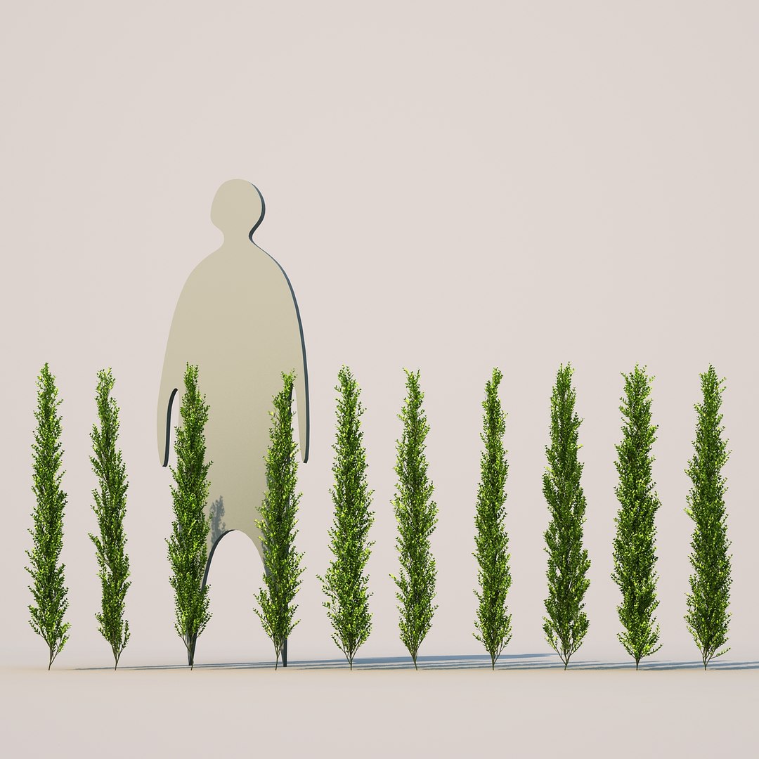 3D Tree Scatter Model - TurboSquid 1188338