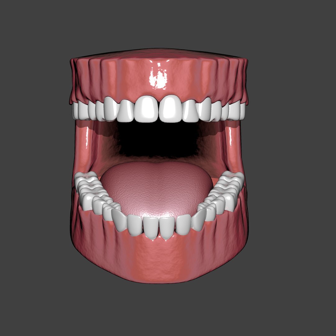 3d Model Human Mouth