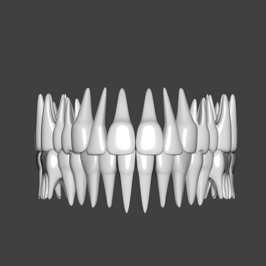 3d Model Human Mouth