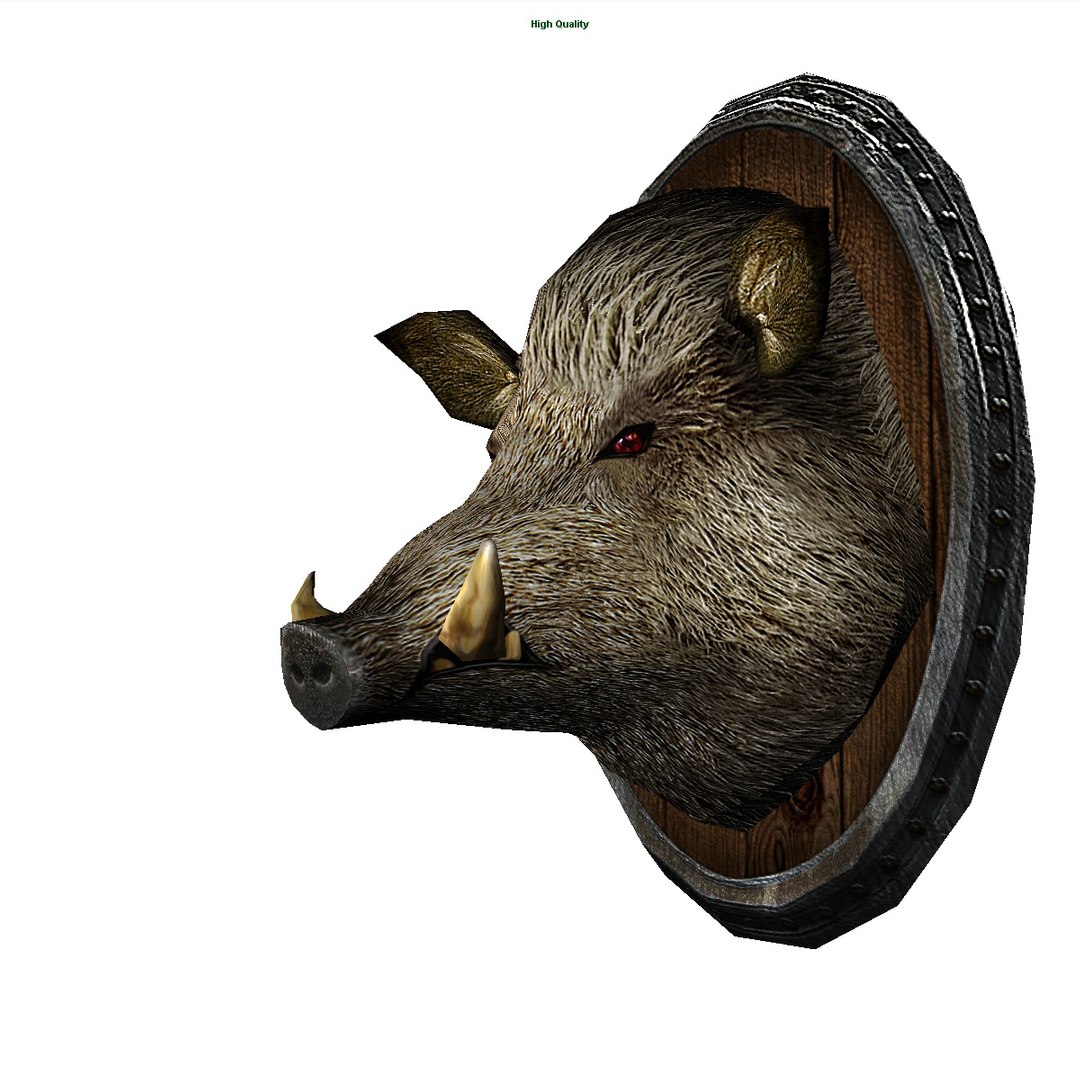 3d Model Boar S Head