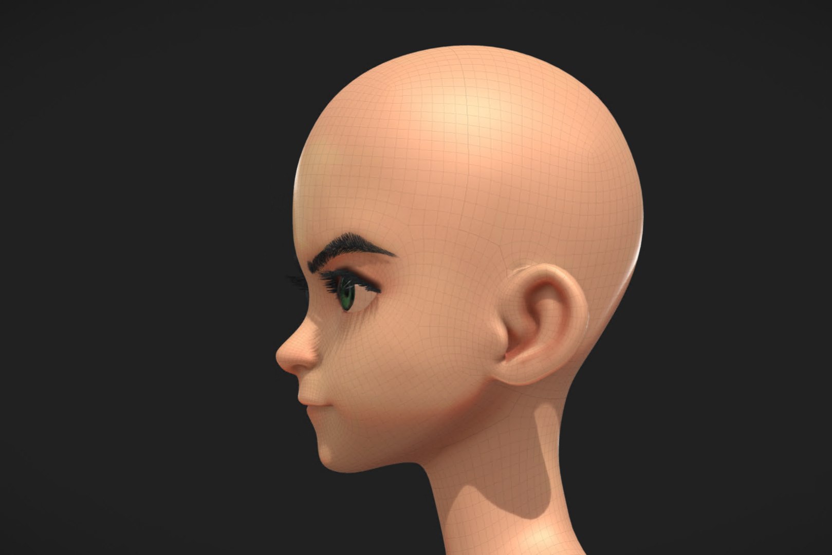 Face Base 3D model - TurboSquid 2167993