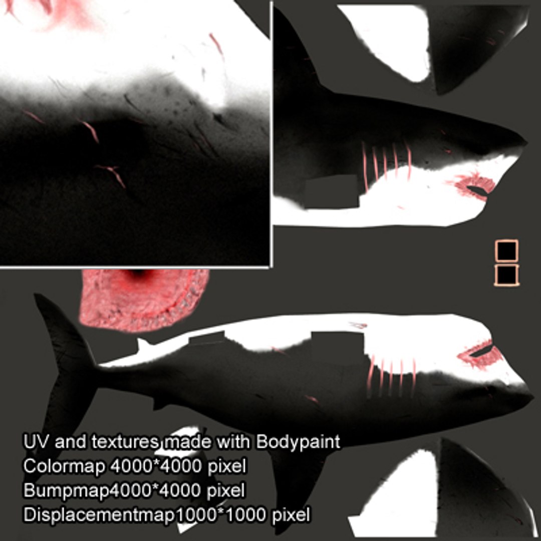 White Shark Obj