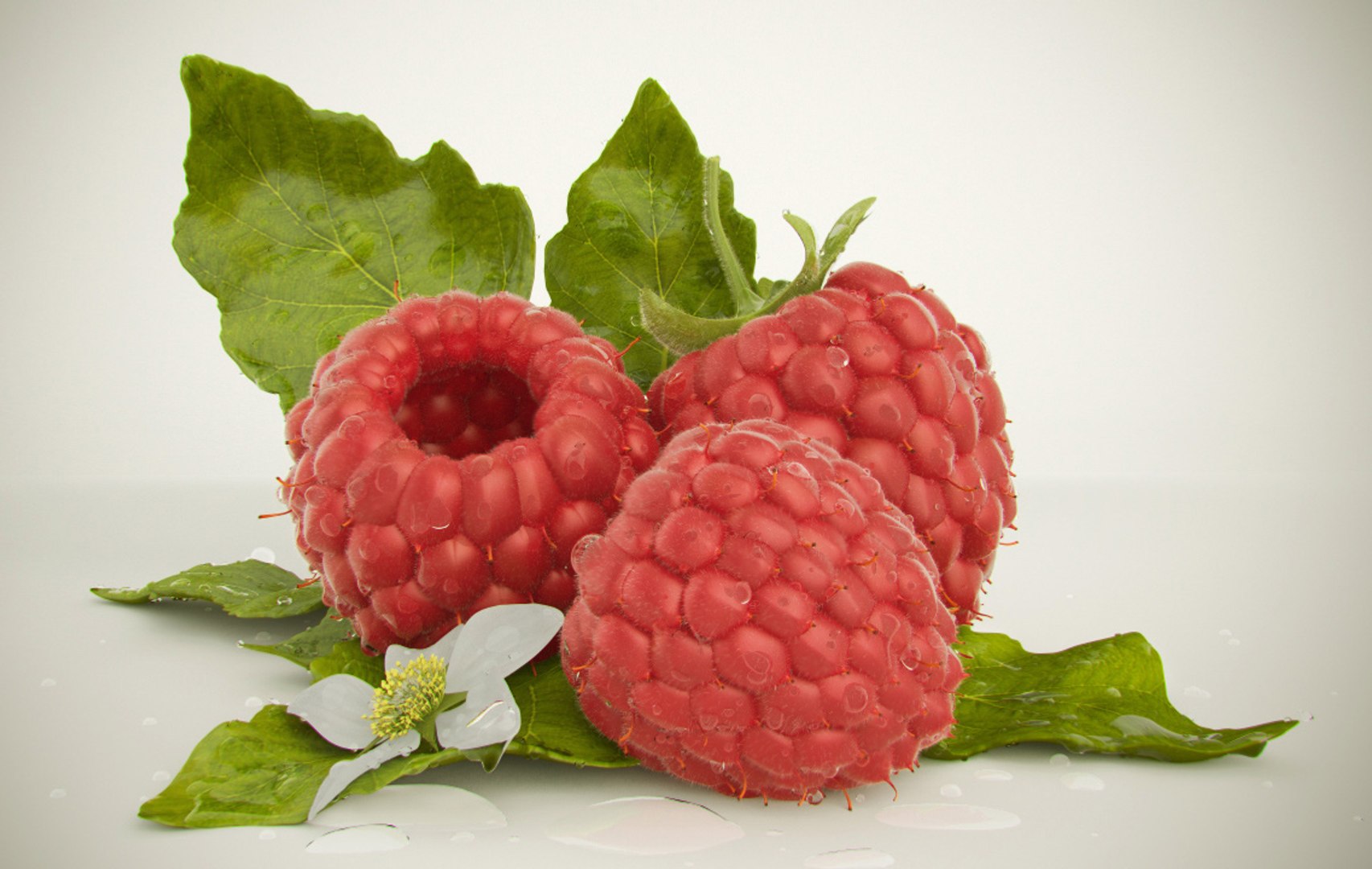 raspberry raspbery 3d model