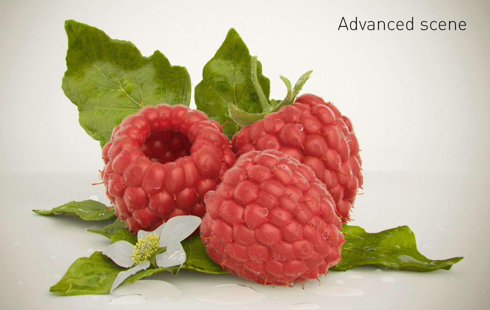 raspberry raspbery 3d model