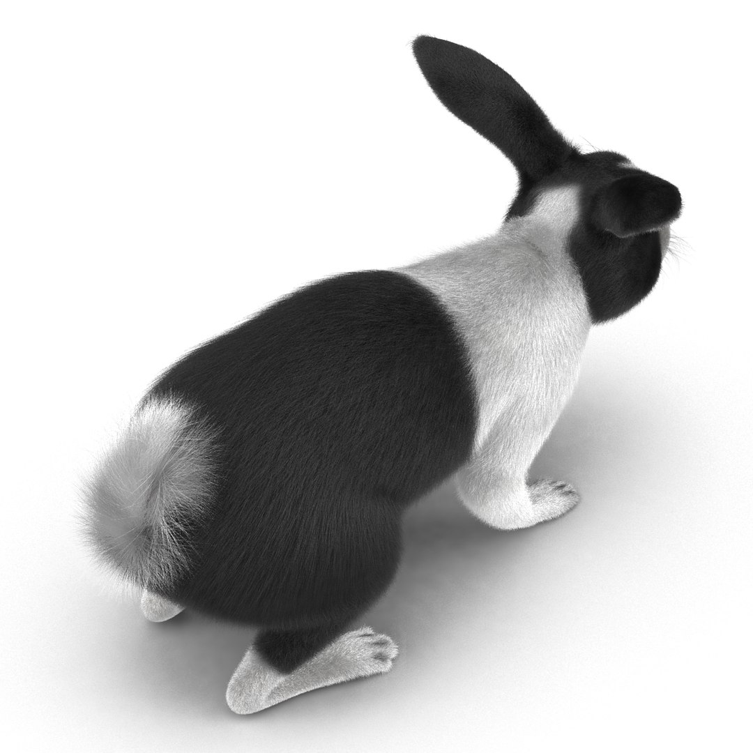 3d black rabbit rigged model